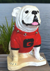 UGA Georgia Bulldog Mascot Stone Statue - College Bronze